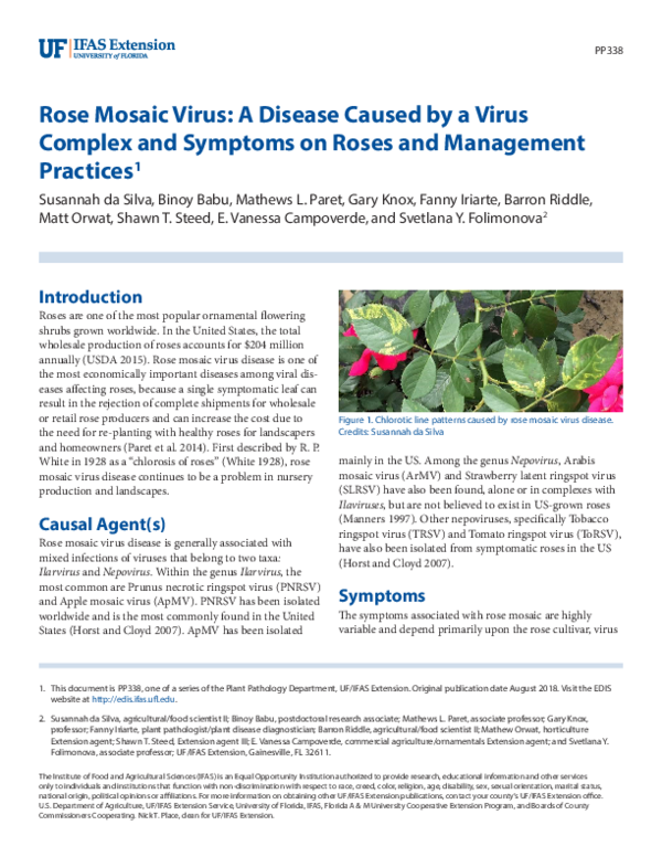 (PDF) Rose Mosaic Virus Disease: A Disease Caused by a Virus Complex ...