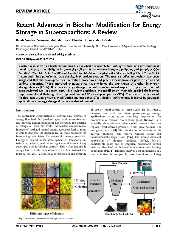 (PDF) Recent Advances in Biochar Modification for Energy Storage in ...