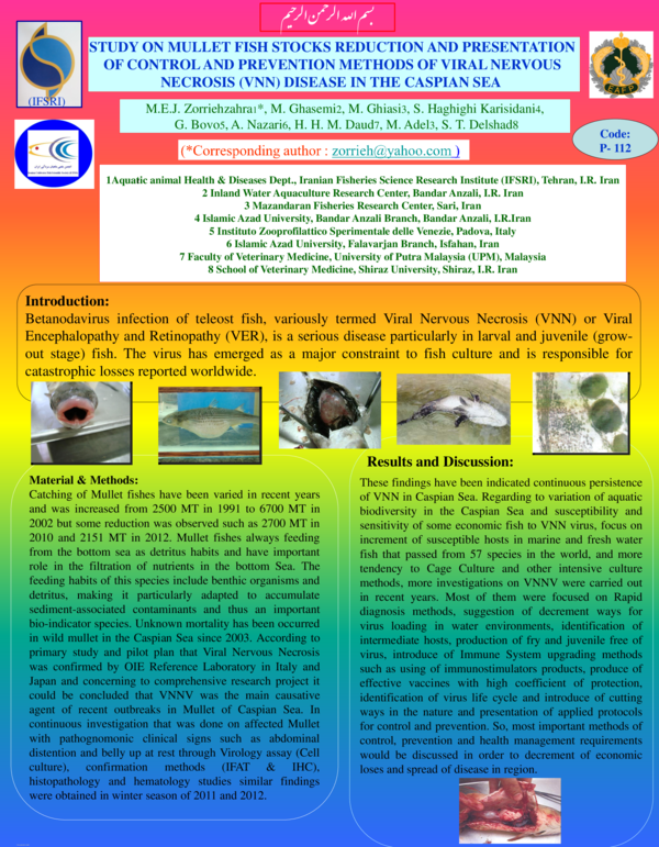 (PDF) VNN Eafp -2015