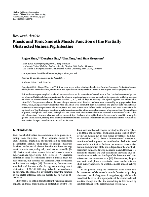 (PDF) Phasic and Tonic Smooth Muscle Function of the Partially ...