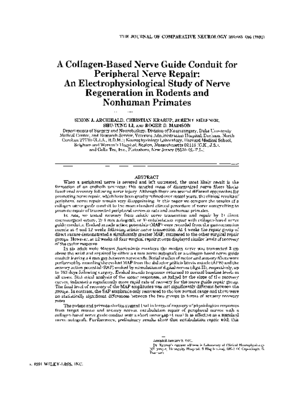 (PDF) A collagen-based nerve guide conduit for peripheral nerve repair ...
