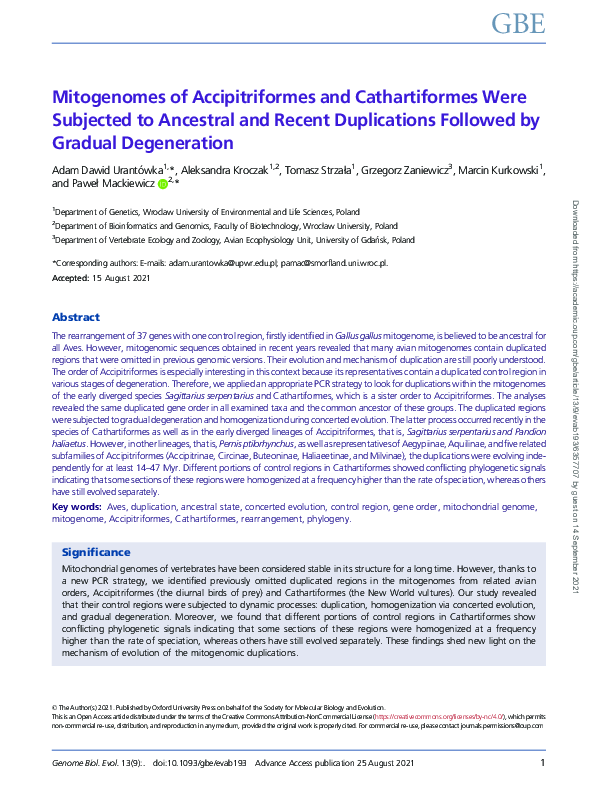 (PDF) Mitogenomes of Accipitriformes and Cathartiformes Were Subjected ...