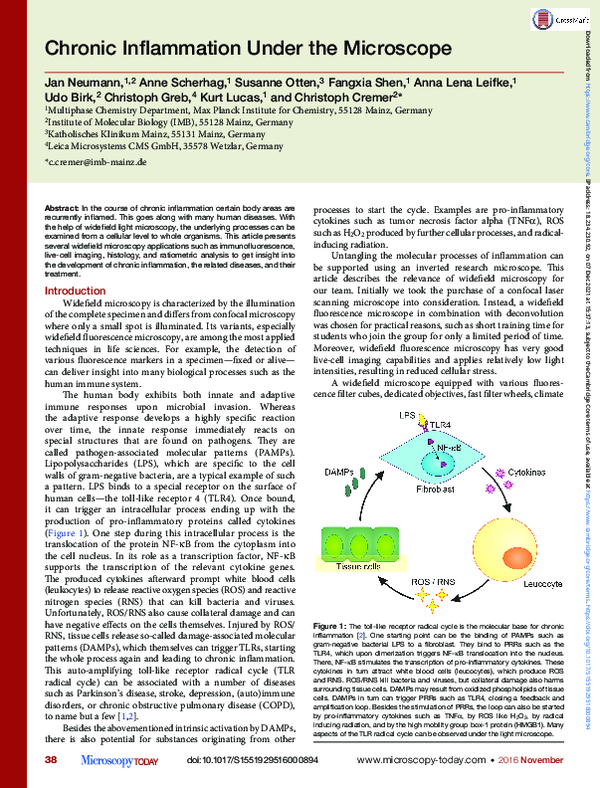 (PDF) Chronic Inflammation Under the Microscope
