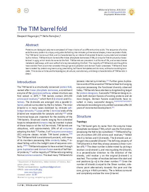 (PDF) The TIM barrel fold