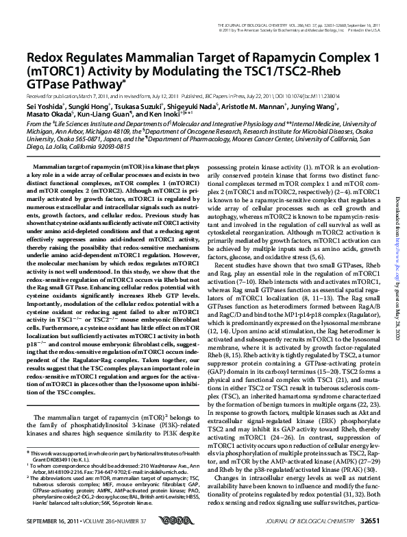 (PDF) Redox Regulates Mammalian Target of Rapamycin Complex 1 (mTORC1 ...