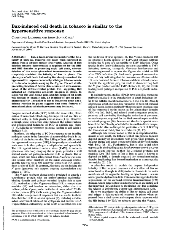 (PDF) Bax-induced cell death in tobacco is similar to the ...