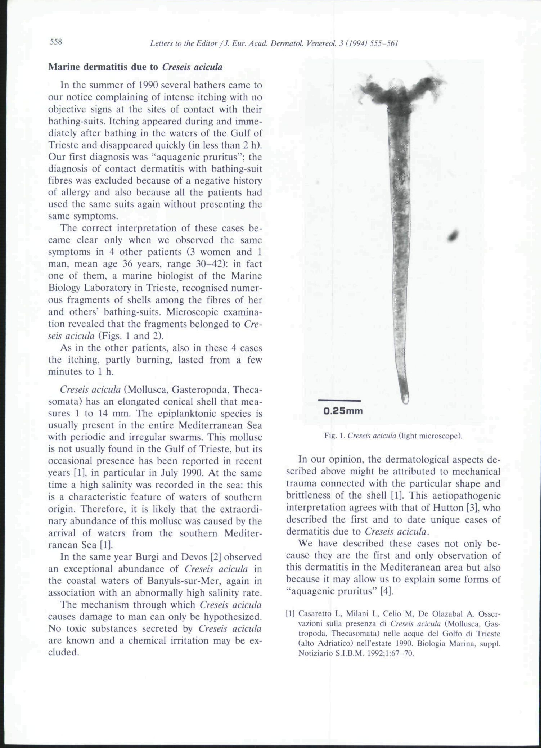 (PDF) Marine dermatitis due to Creseis acicula