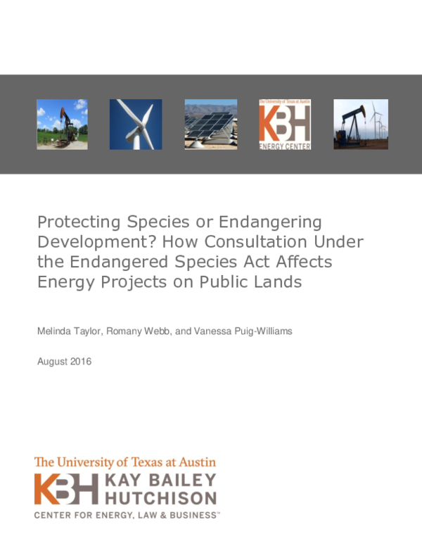 (PDF) Protecting Species or Endangering Development? How Consultation ...