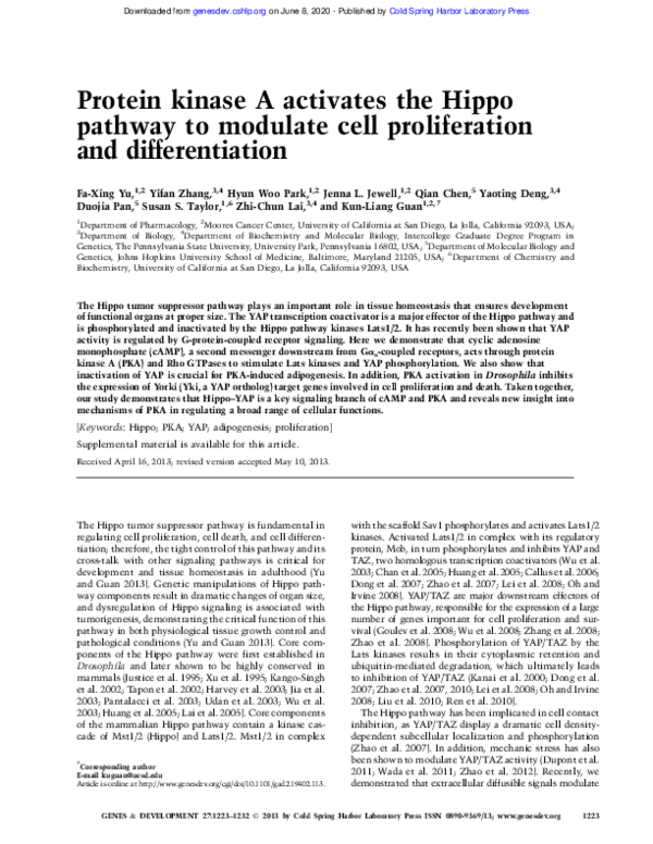 (PDF) Protein kinase A activates the Hippo pathway to modulate cell ...