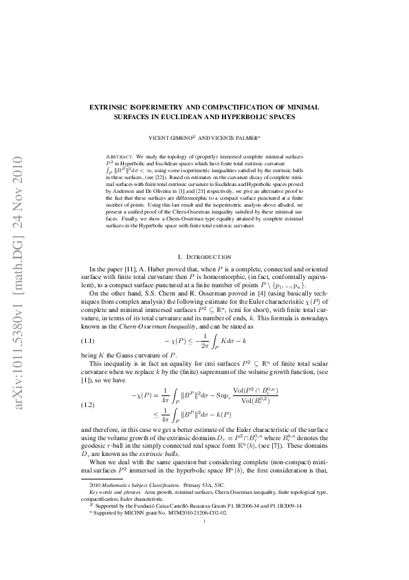 (PDF) Extrinsic isoperimetry and compactification of minimal surfaces in Euclidean and ...