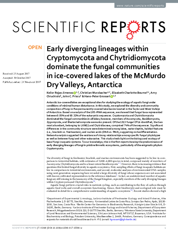 (PDF) Early diverging lineages within Cryptomycota and Chytridiomycota ...
