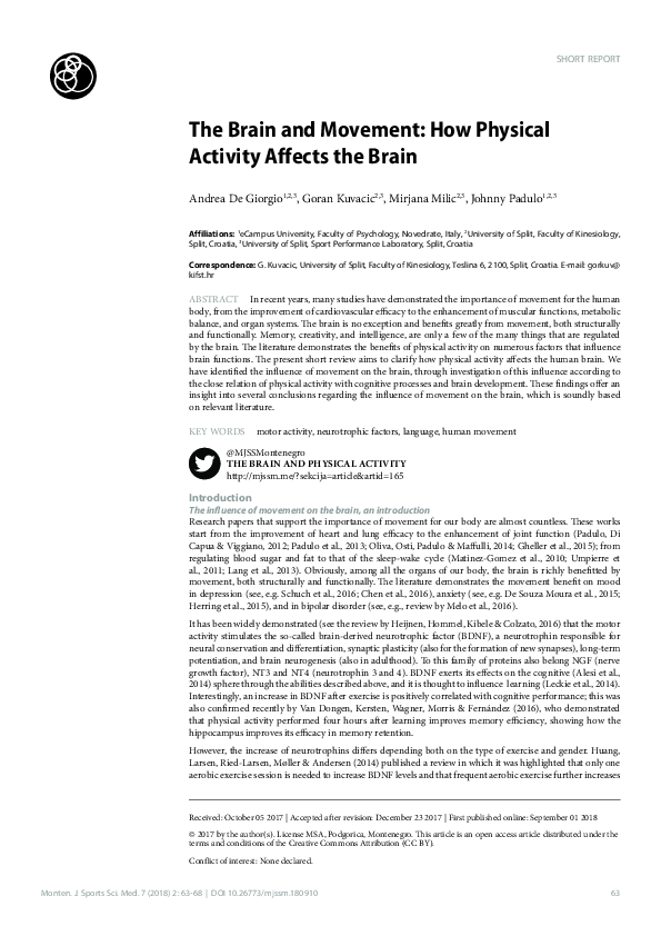 (PDF) The Brain and Movement: How Physical Activity Affects the Brain