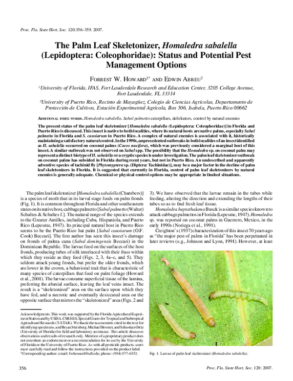 (PDF) The palm leaf skeletonizer, Homaledra sabalella (Lepidoptera ...