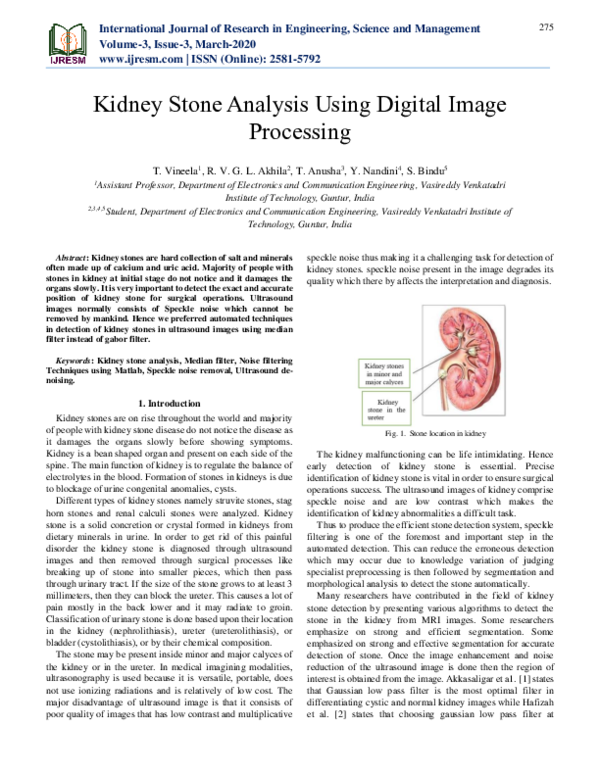 (PDF) Kidney Stone Analysis Using Digital Image Processing