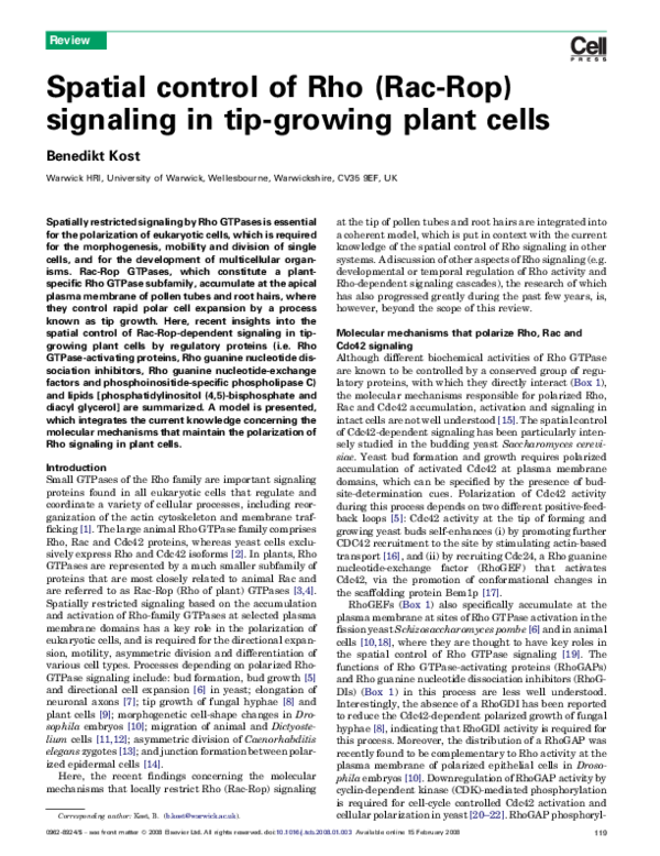 (PDF) Spatial control of Rho (Rac-Rop) signaling in tip-growing plant cells