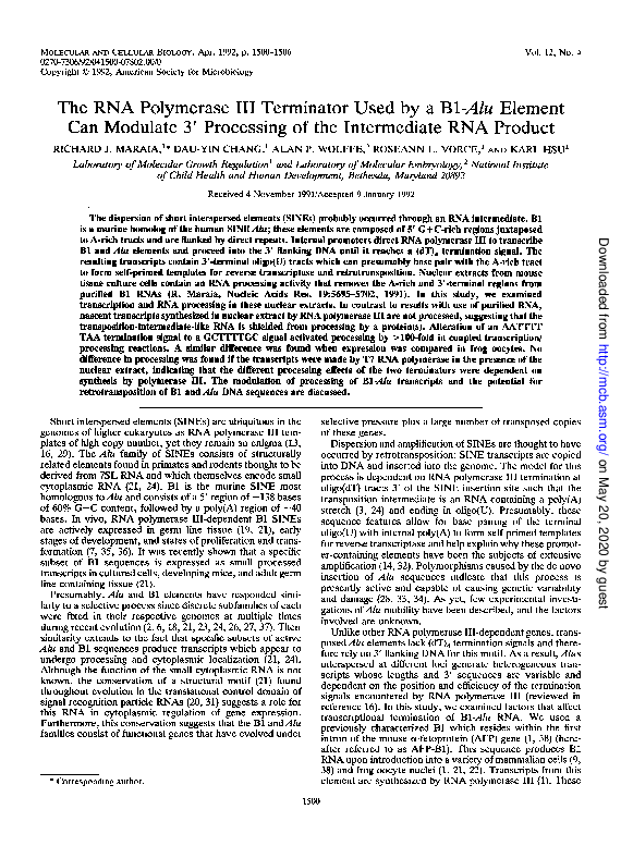 (PDF) The RNA polymerase III terminator used by a B1-Alu element can ...
