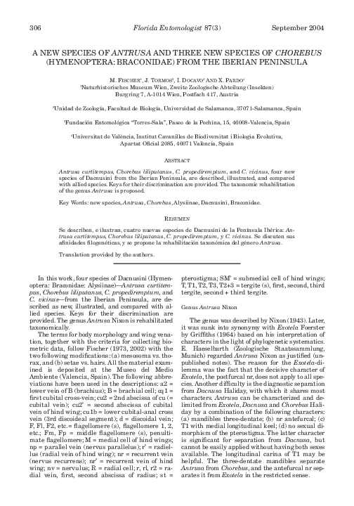 (PDF) A New Species of Antrusa and Three New Species of Chorebus ...