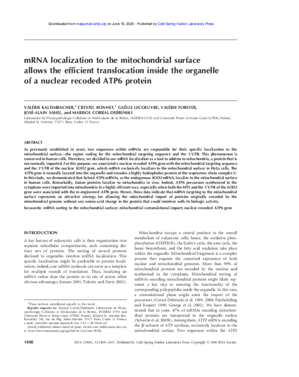 (PDF) MRNA Localization to the Mitochondrial Surface Allows the ...