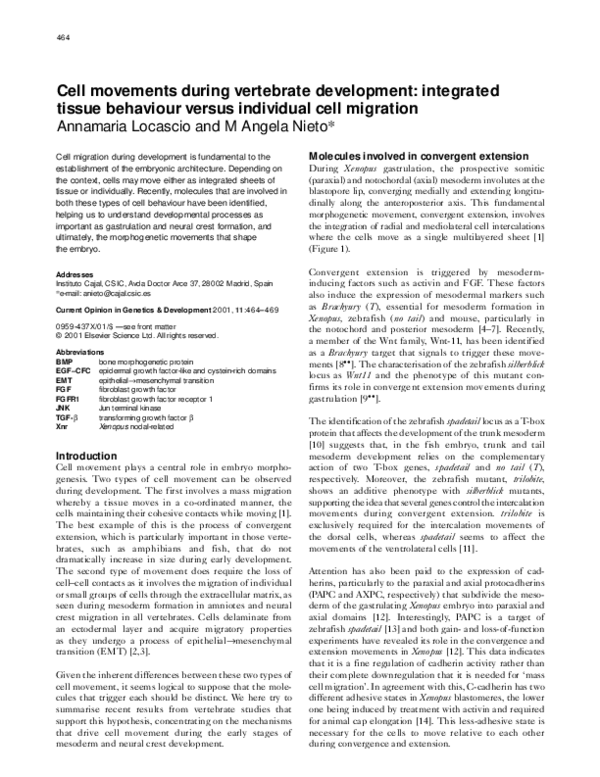 (PDF) Cell movements during vertebrate development: integrated tissue ...
