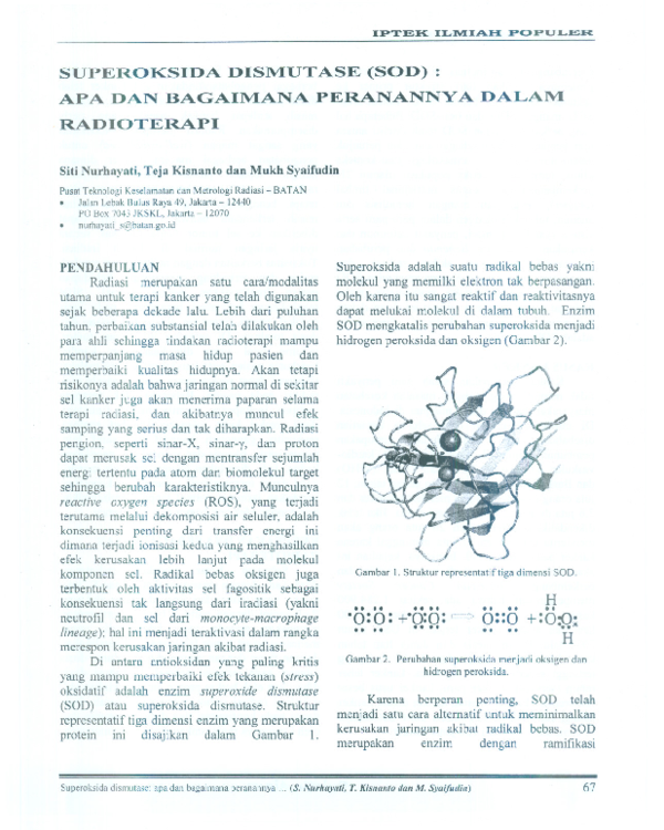 (PDF) Superoksida Dismut Ase (Sod) : Apa Dan Bagaimana Peranannya Dalam ...