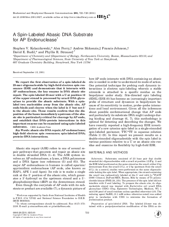 (PDF) A spin-labeled abasic DNA substrate for AP endonuclease