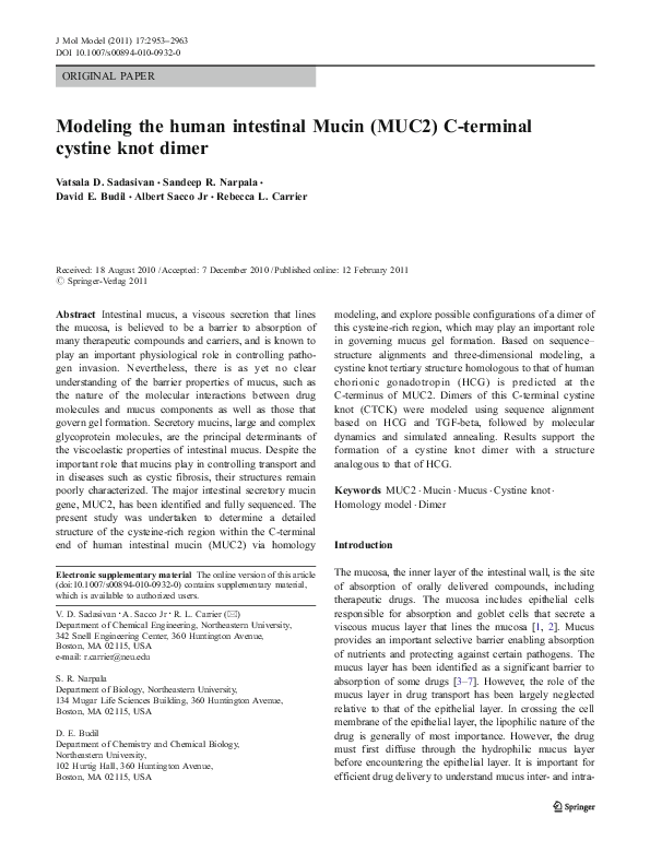 (PDF) Modeling the human intestinal Mucin (MUC2) C-terminal cystine ...