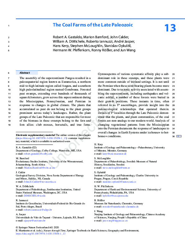 (PDF) The Coal Farms of the Late Paleozoic