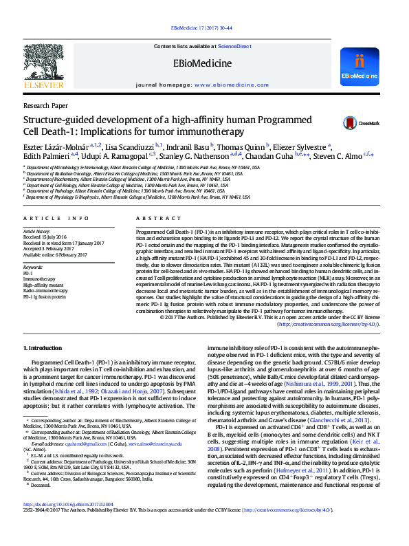 Structure Guided Development Of A High Affinity Human Programmed Cell