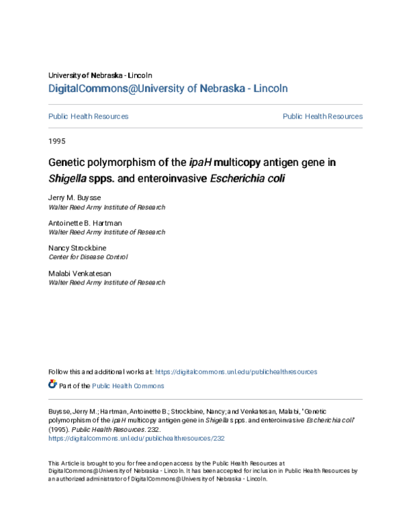 (PDF) Genetic polymorphism of the ipaH multicopy antigengene in ...