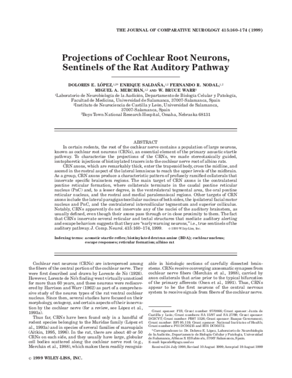 (PDF) Projections of cochlear root neurons, sentinels of the rat ...