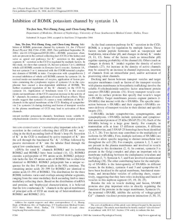 (PDF) Inhibition of ROMK potassium channel by syntaxin 1A