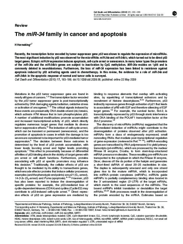 (PDF) The miR-34 family in cancer and apoptosis