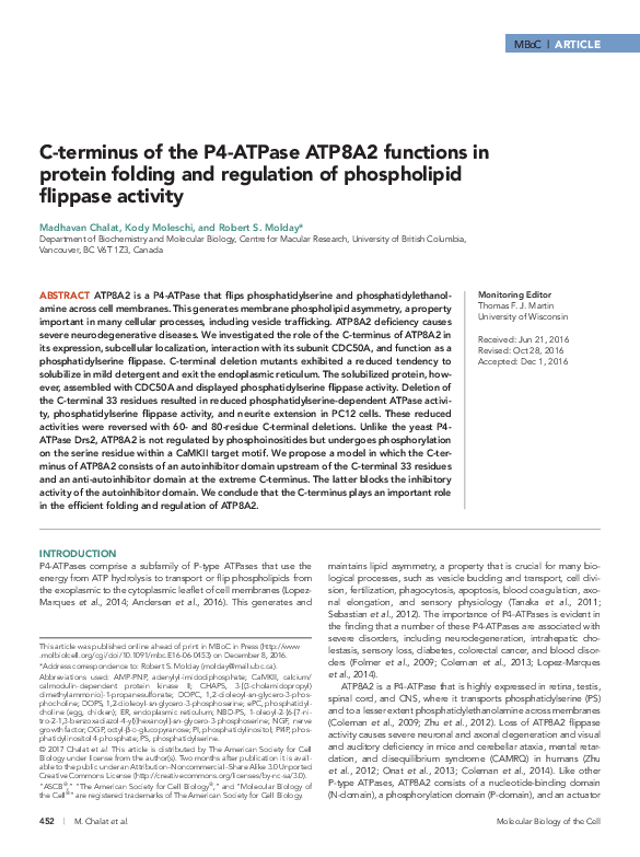 (PDF) C-terminus of the P4-ATPase ATP8A2 functions in protein folding and regulation of ...
