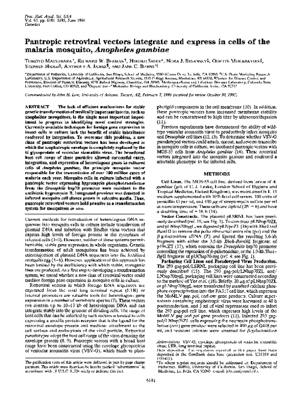 (PDF) Pantropic retroviral vectors integrate and express in cells of ...