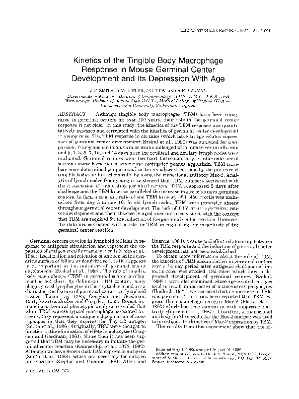 (PDF) Kinetics of the tingible body macrophage response in mouse ...