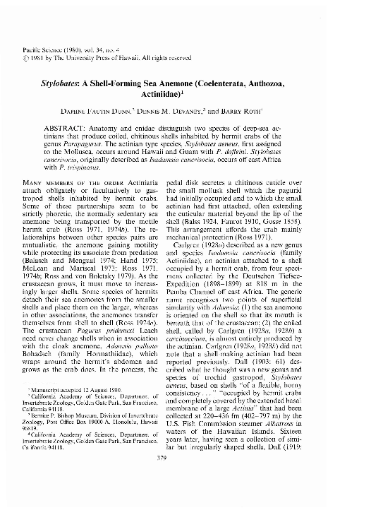 (PDF) Stylobates: A Shell-Forming Sea Anemone (Coelenterata, Anthozoa ...