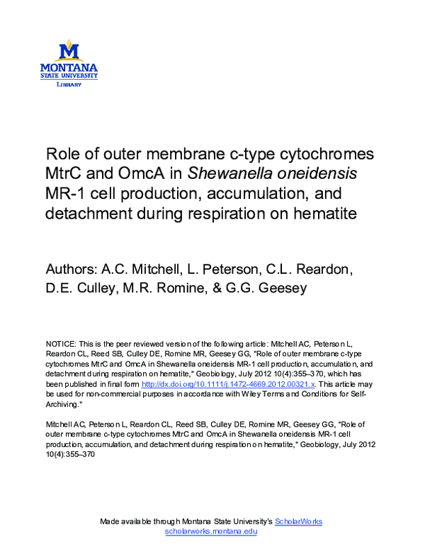 (PDF) Role of outer membrane c-type cytochromes MtrC and OmcA in ...