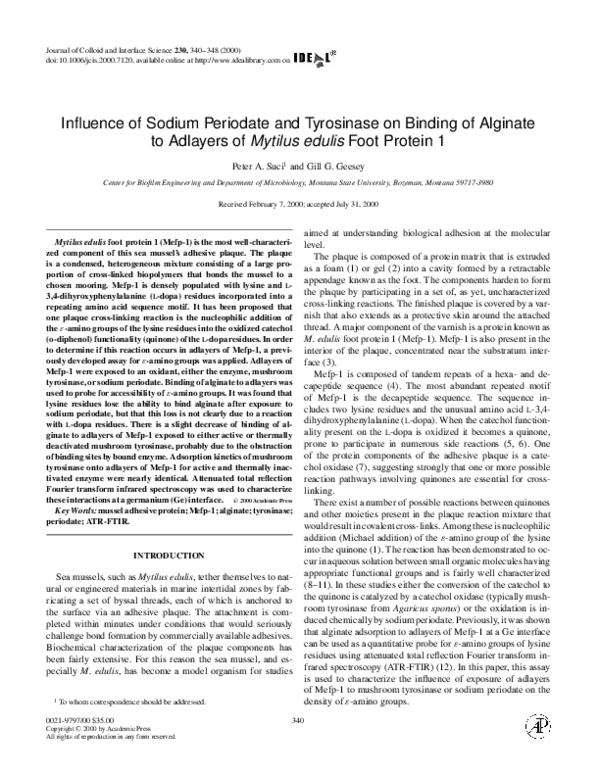 (PDF) Influence of Sodium Periodate and Tyrosinase on Binding of ...