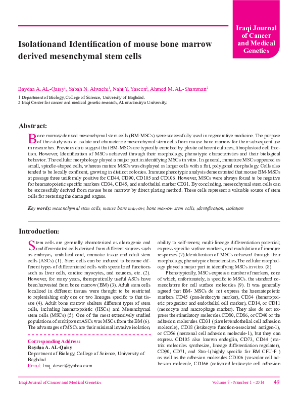(PDF) Isolation and Identification of mouse bone marrow derived ...