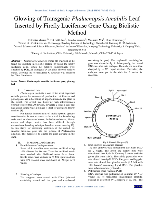 (PDF) Glowing of Transgenic Phalaenopsis Amabilis Leaf Inserted by Firefly Luciferase Gene Using ...