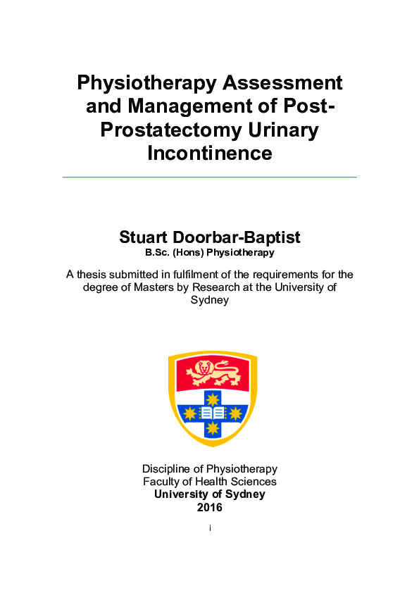 (PDF) Physiotherapy Assessment and Management of Post- Prostatectomy ...