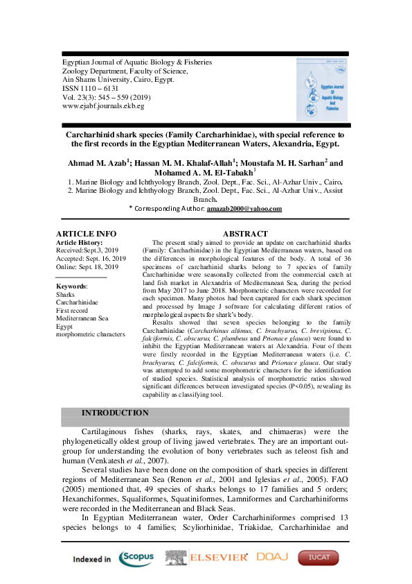 (PDF) Carcharhinid shark species (Family Carcharhinidae), with special ...