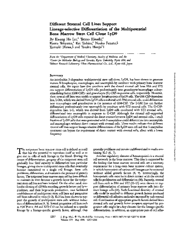 (PDF) Different stromal cell lines support lineage-selective differentiation of the ...