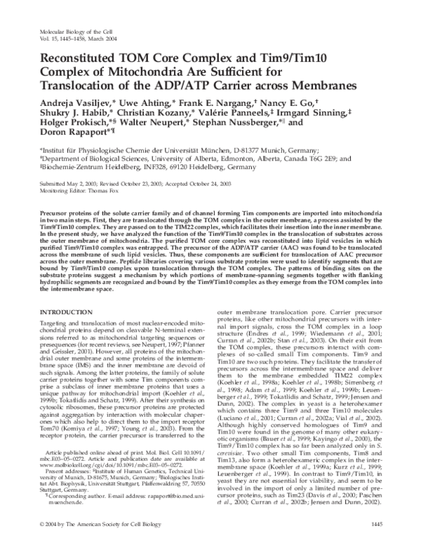 (PDF) Reconstituted TOM core complex and Tim9/Tim10 complex of ...
