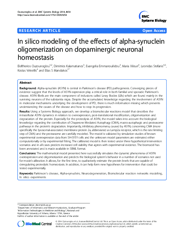 (PDF) In silico modeling of the effects of alpha-synuclein ...