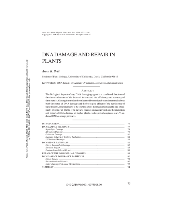 (PDF) Dna Damage and Repair in Plants