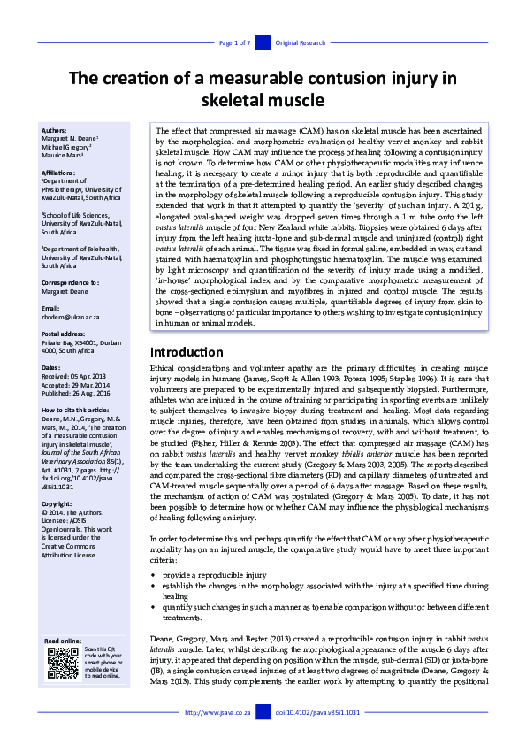(PDF) The creation of a measurable contusion injury in skeletal muscle