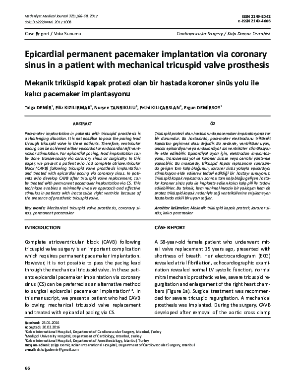 (PDF) Epicardial permanent pacemaker implantation via coronary sinus in ...
