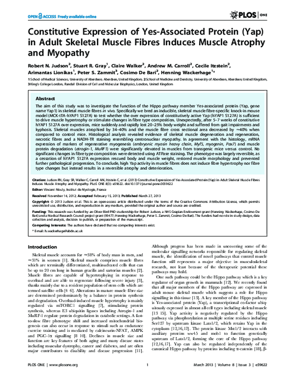 (PDF) Constitutive Expression of Yes-Associated Protein (Yap) in Adult ...