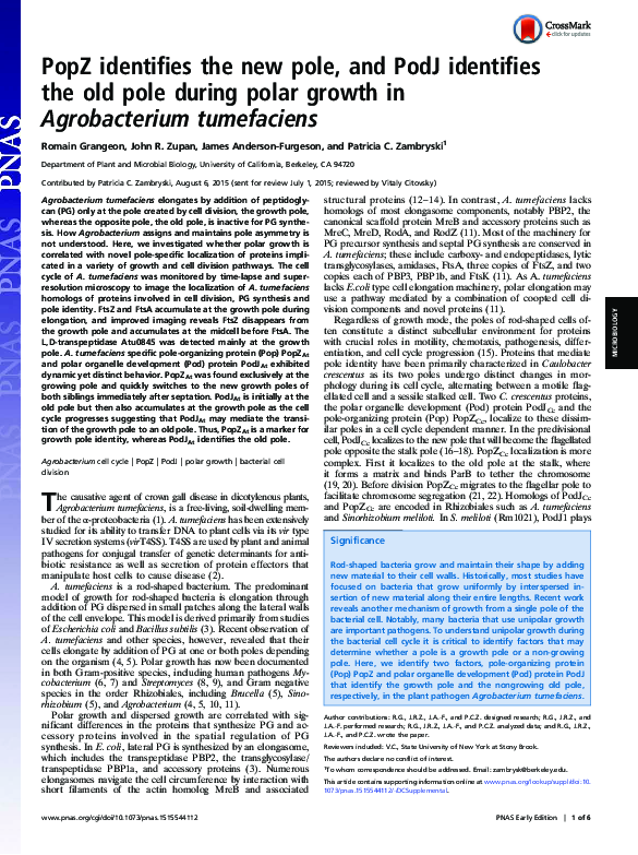 (PDF) PopZ identifies the new pole, and PodJ identifies the old pole ...